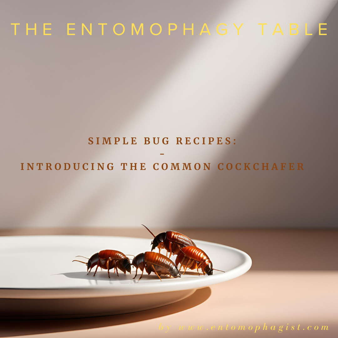 Edible Insects FAQ: Explore May Beetle Recipes & Entomophagy