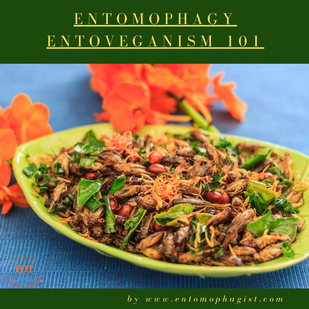 The Entomophagy Table: Explore, Share, and Enjoy Insect-Based Cuisine